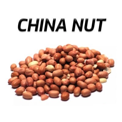 China nut – Picolight